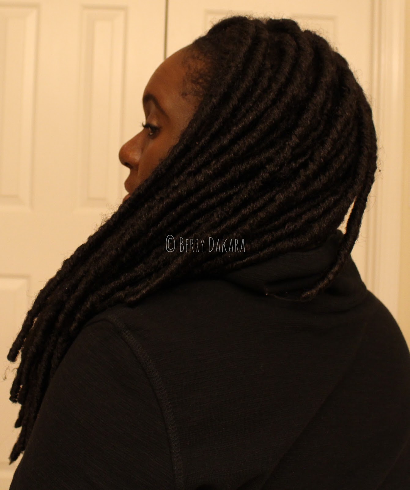 Berry Dakara: Individual Crochet Faux Locs