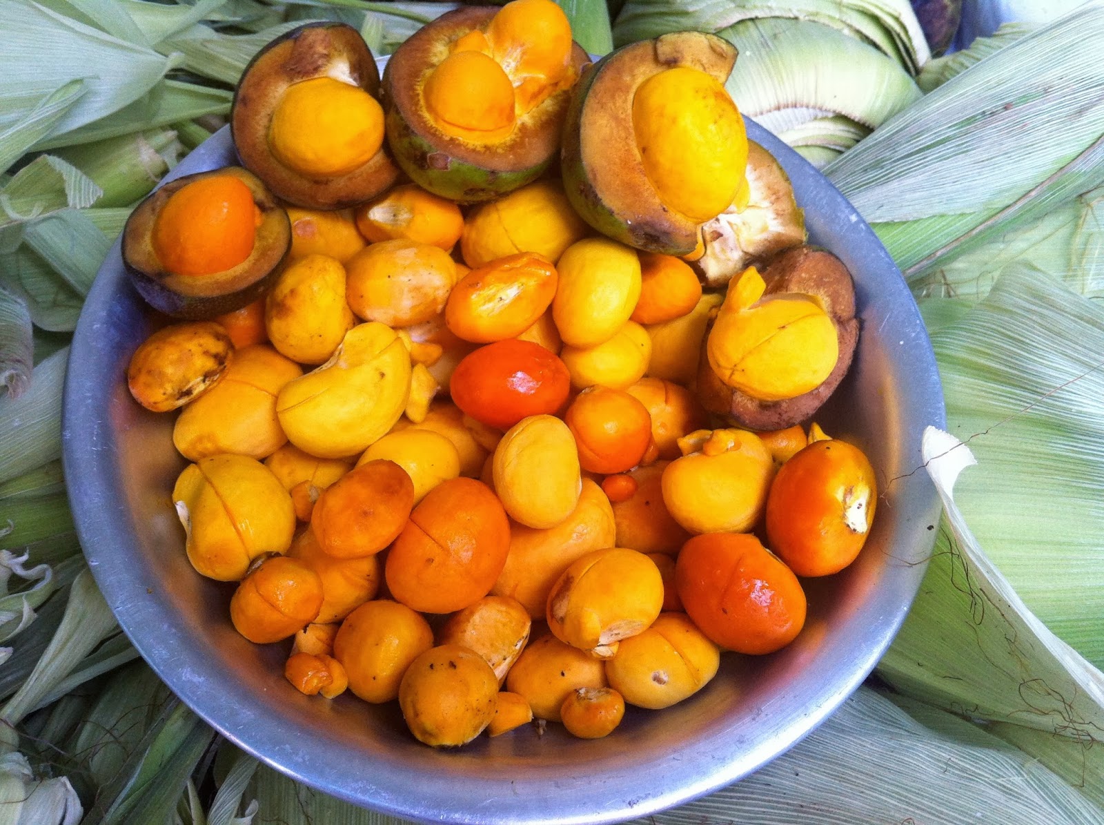 come-se: Pequi é um perigo. Festa Gastronômica Nossa Pitada em Goiânia