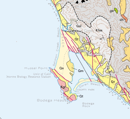 Northern California Coast 1