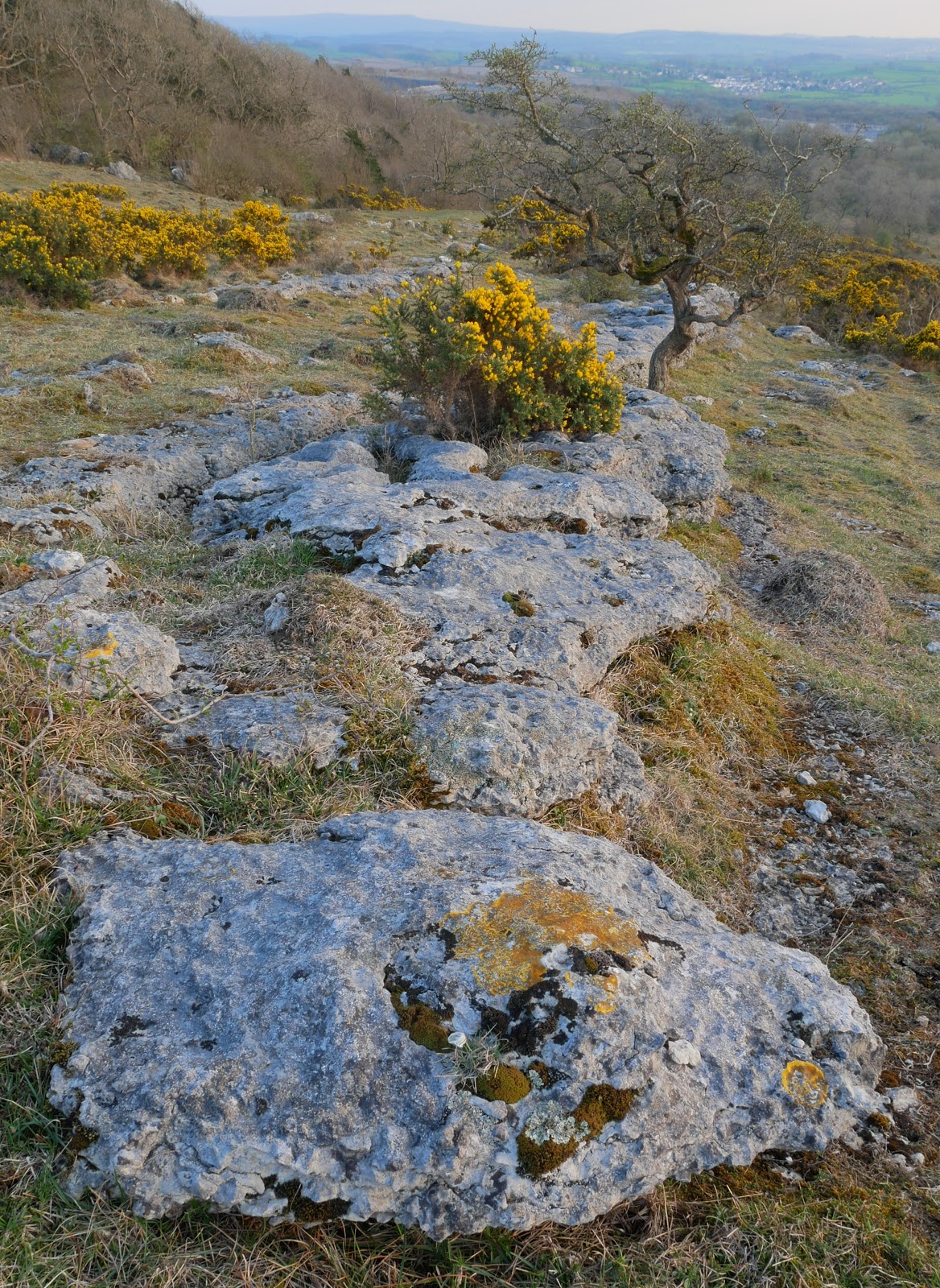 Al's Outdoor World: An Evening Stroll Up Farleton Knott