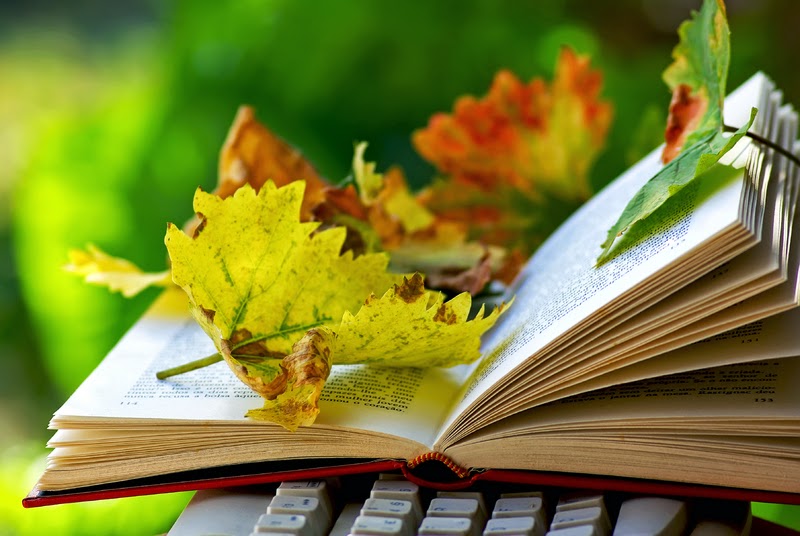 Maištinga siela: Knyga skaniausia rudenį