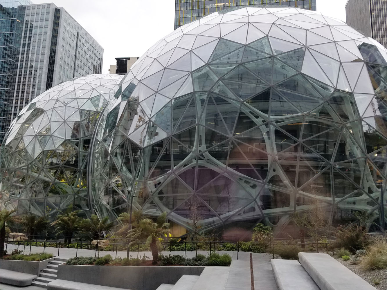 Urban Sketchers Seattle: Inside the Spheres