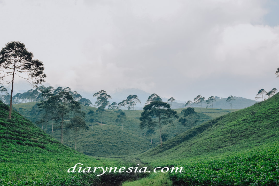 Best Places to Visit in Karanganyar