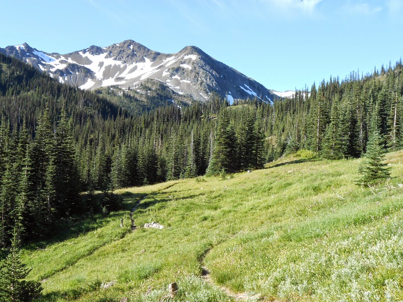 Val-Di-Ree: Obstruction Point to Dosewallips River, July 23-26, 2013