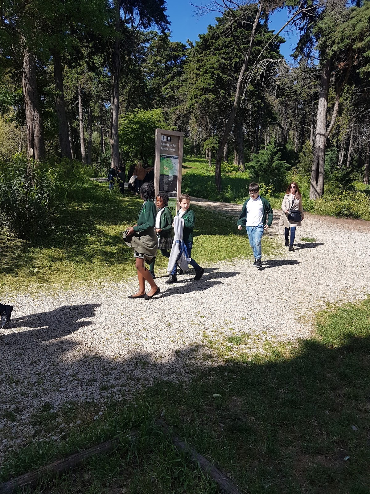 QUOD ERAT - Externato Flor do Campo: 3.º Ano