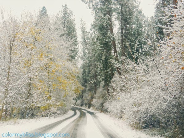 Color My Bliss: It Snowed!
