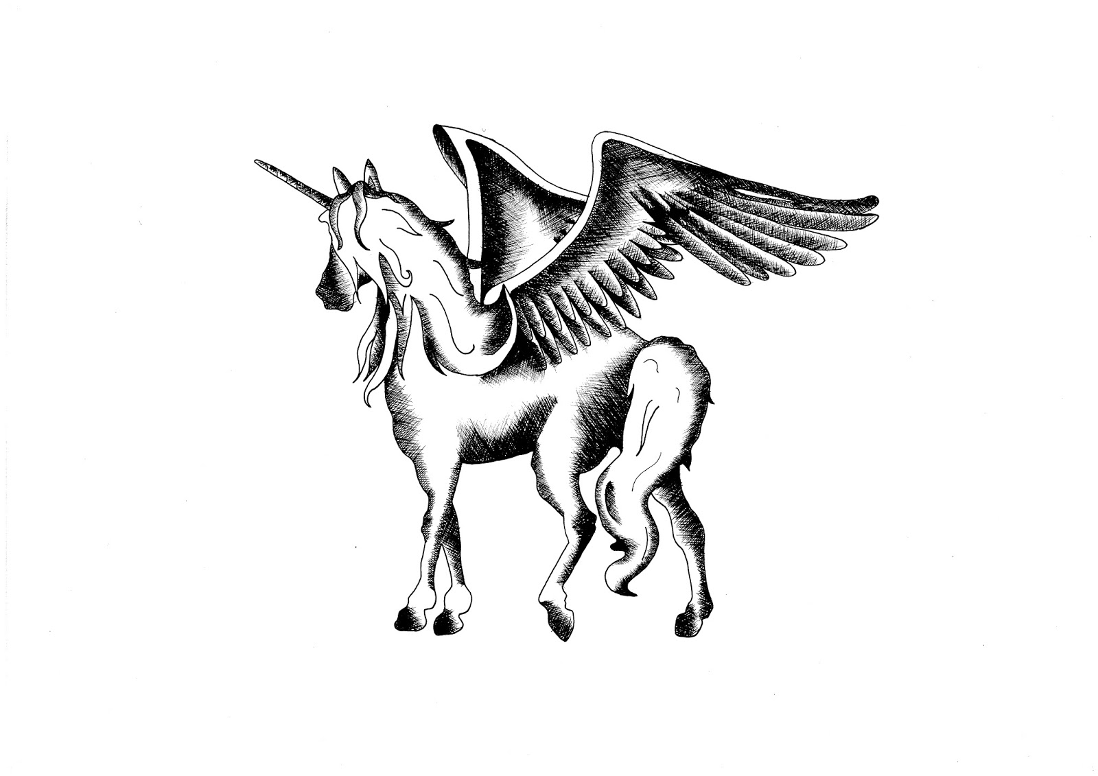 Alex Hume: Initial Drawings