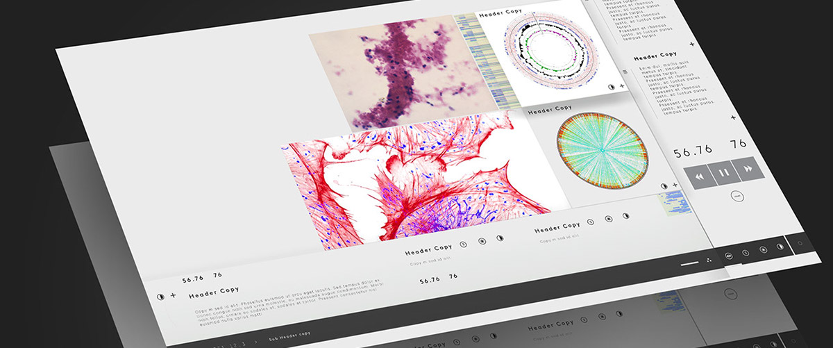 Spectre 007 UI/OS concept design | Computer Graphics Daily News