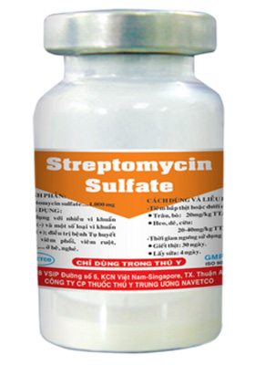 STREPTOMYCIN SULFATE