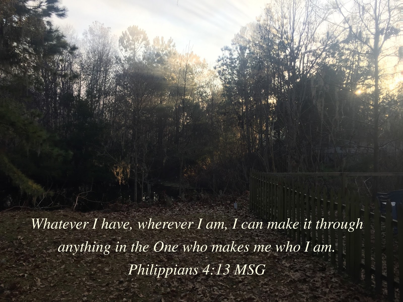 My Strength: Philippians 4:13 - "Thy Will"