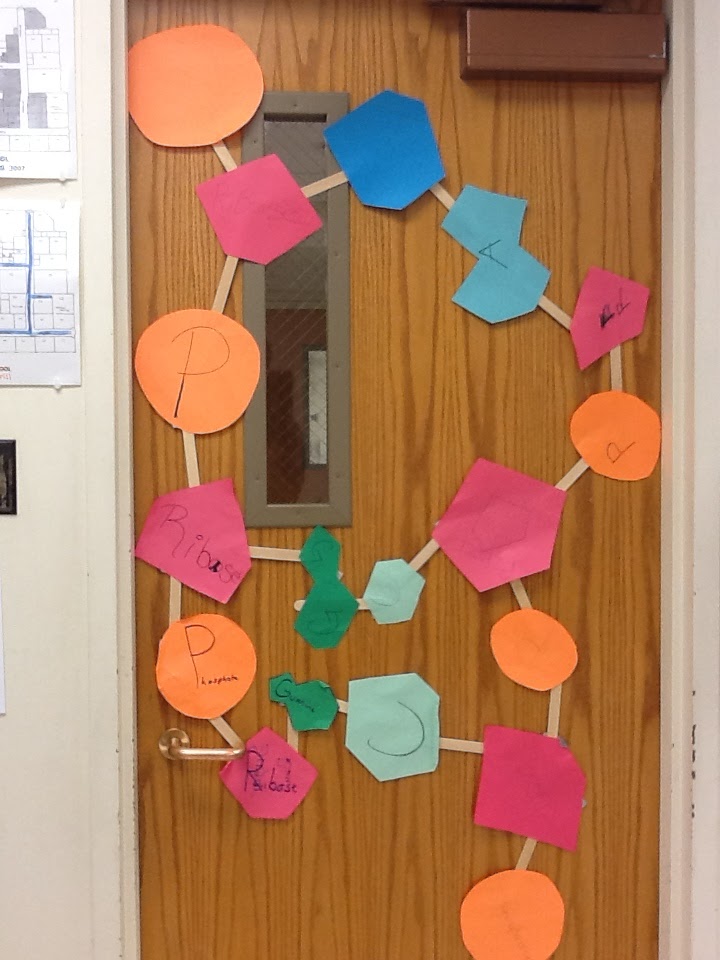 Biology Basics: Macromolecules: My Obsession with Paper Models