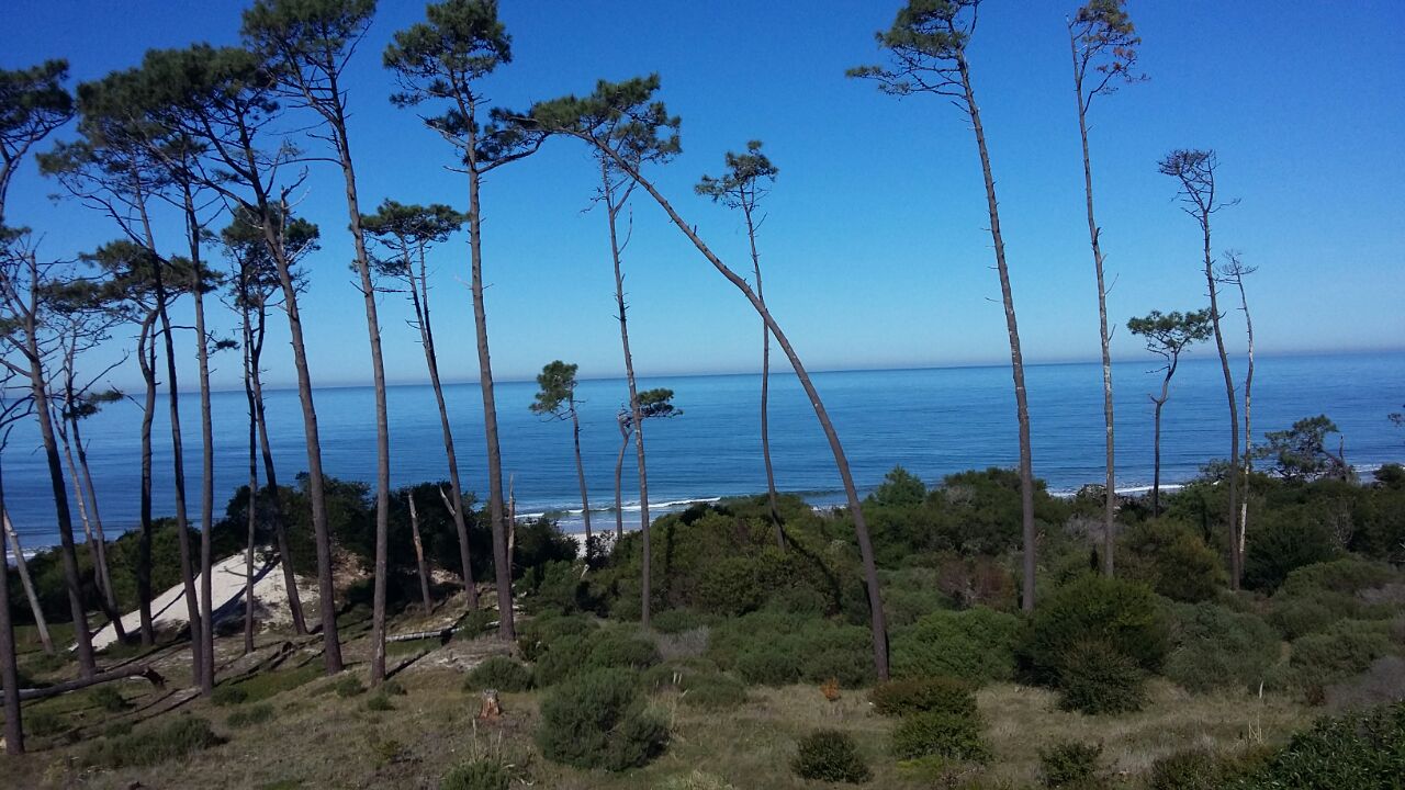 PINTANDO EL URUGUAY: El Fortín de Santa Rosa y Atlántida