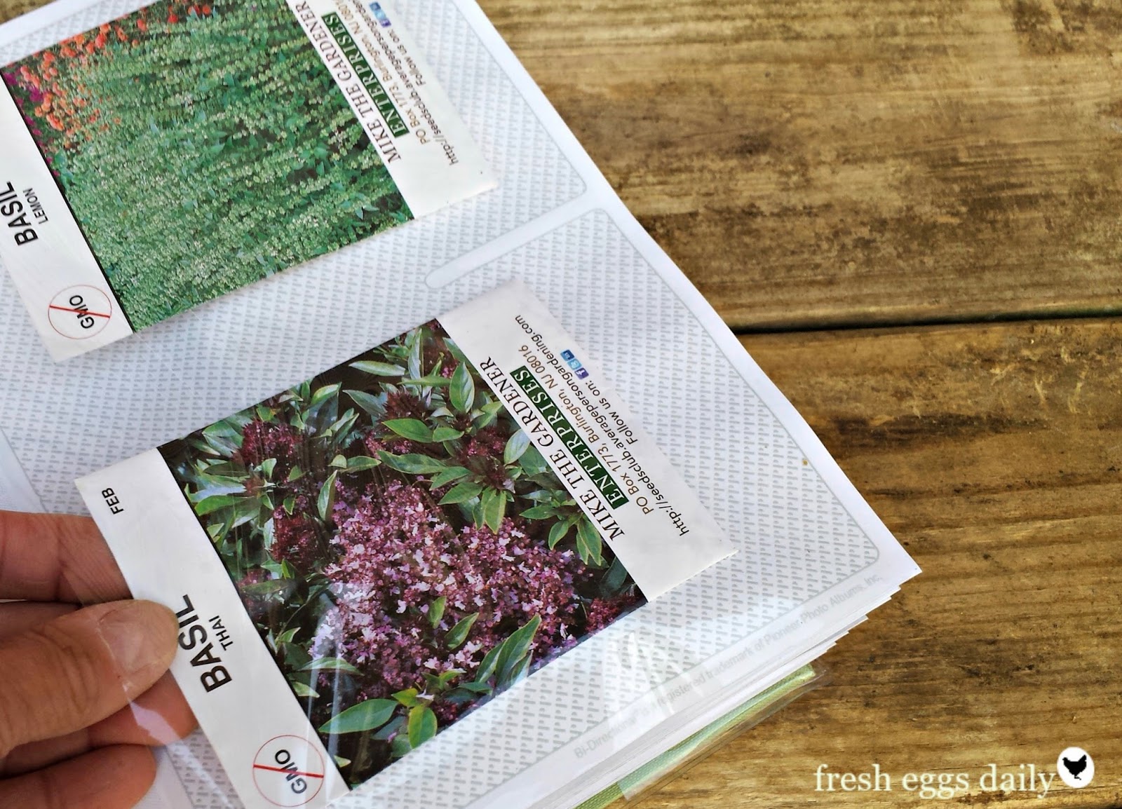 DIY Photo Album Seed Organizer - Fresh Eggs Daily® with Lisa Steele