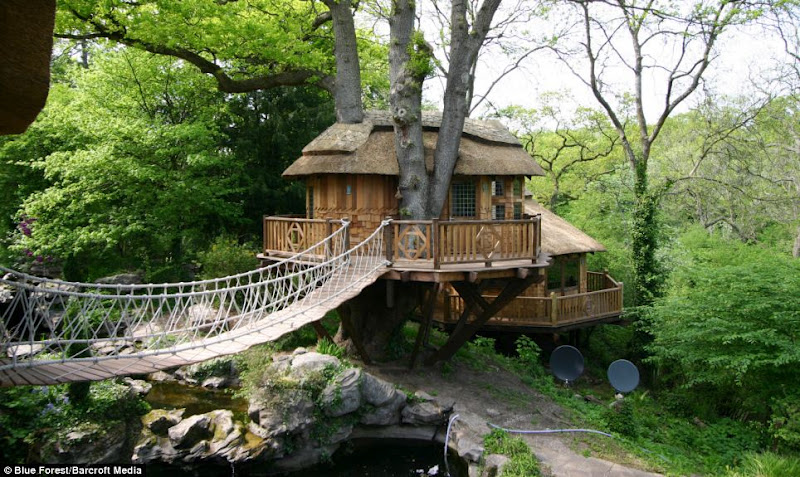 Pix Grove: Luxury Tree House Castle