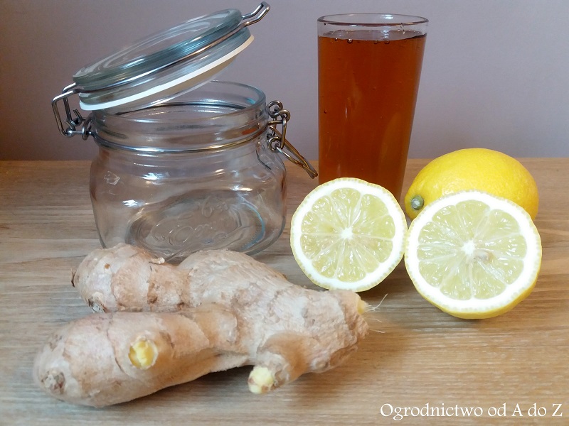 Syrop z miodu, cytryny i imbiru na przeziębienie, kaszel i nie tylko :)