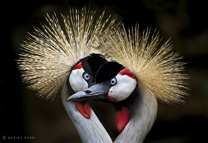 Buckets & Spades - Men's Fashion, Design and Lifestyle Blog: Marina ...