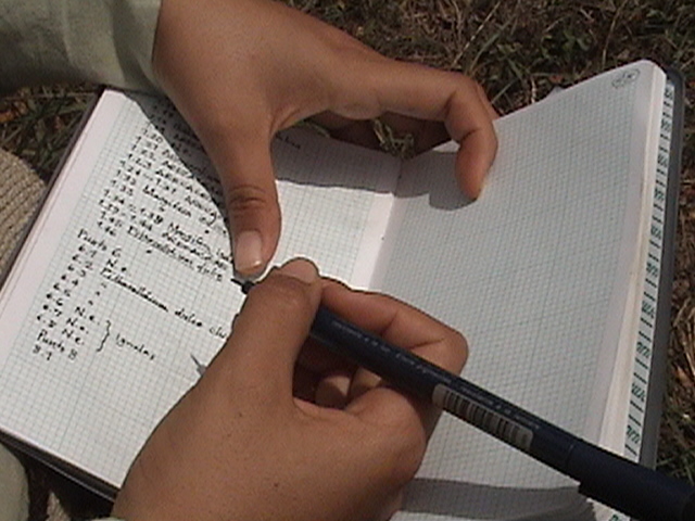 elivzla: Definicion de bitacora