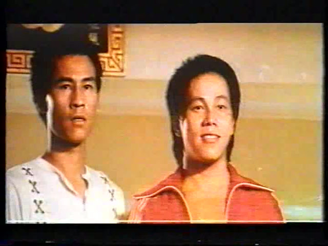 BRUCE LEUNG (LEUNG SIU LUNG) 梁小龍