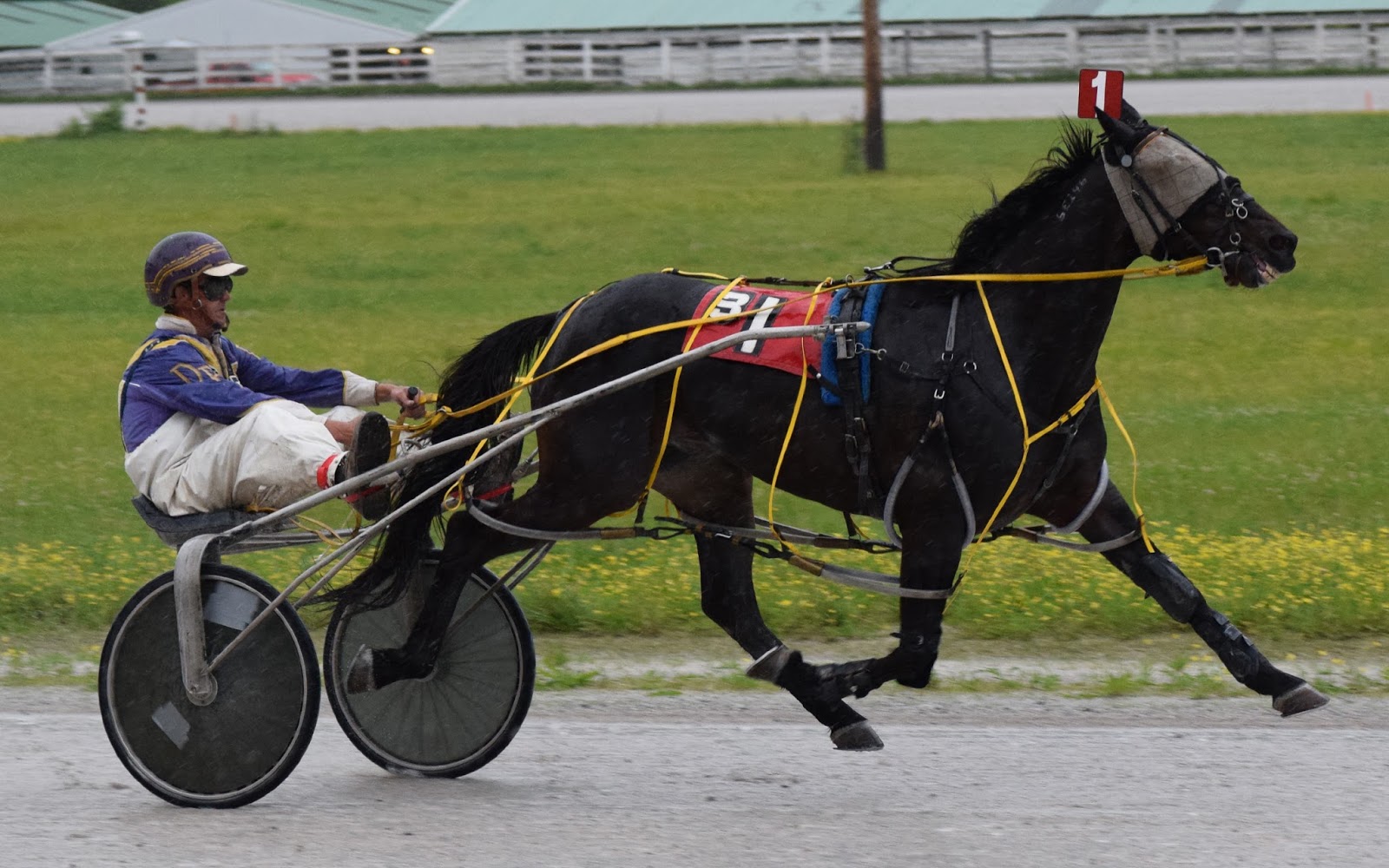 Thunder Ridge Racing 05-20-16