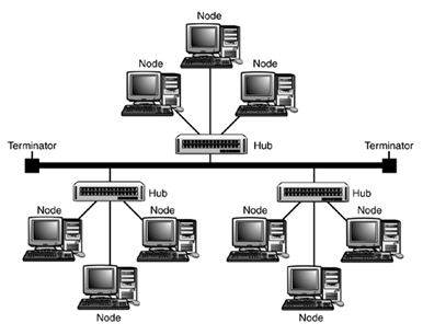 Computer Network System: Type Of Network
