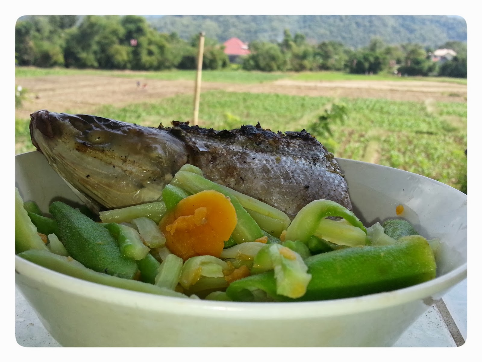 Healthy Living: "Buridibud" Ilokano Sweet Potatoe Vegetable Stew - The ...
