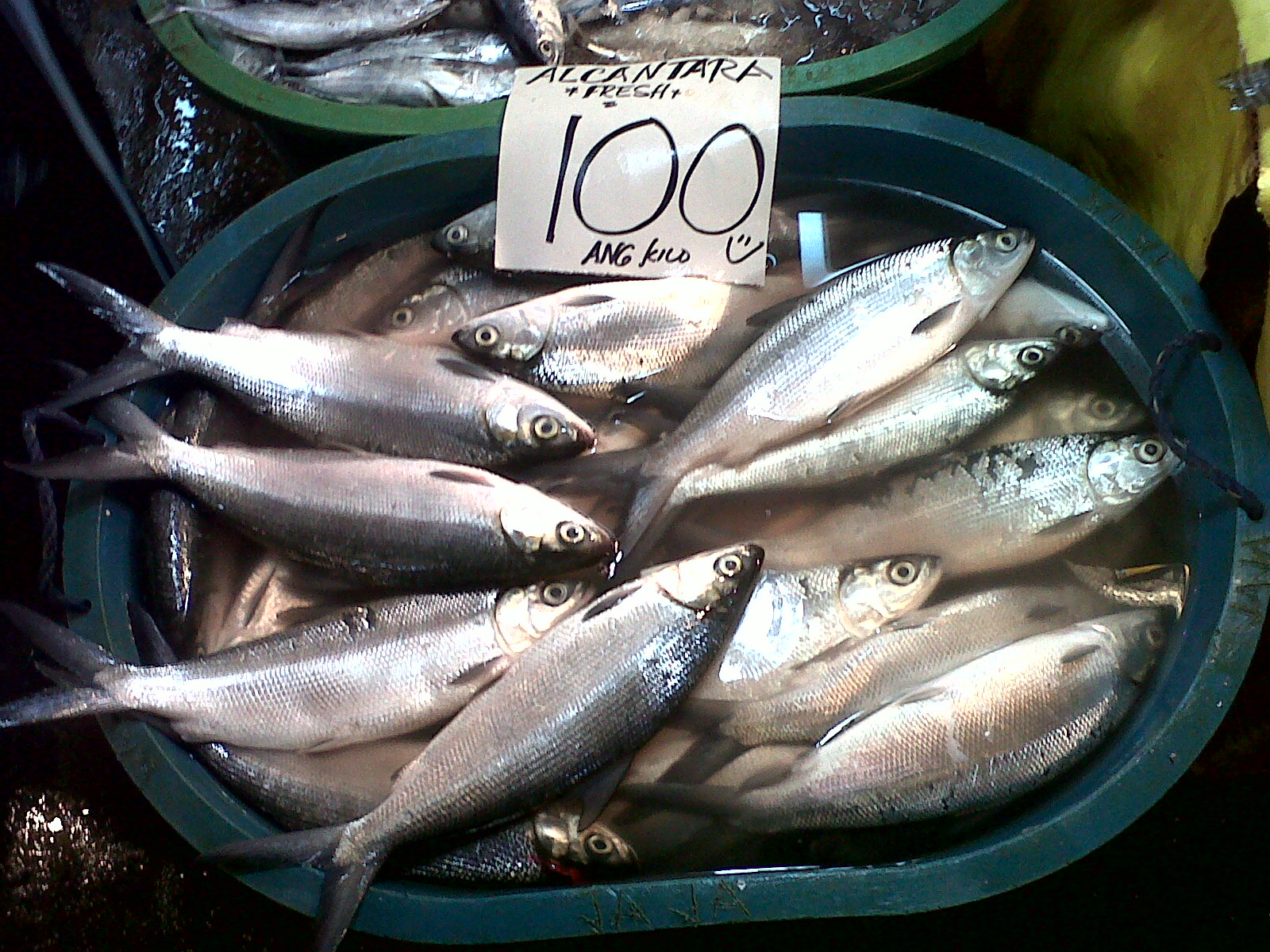 Finding the real locals: Bankerohan Public Market | Hello from Davao.
