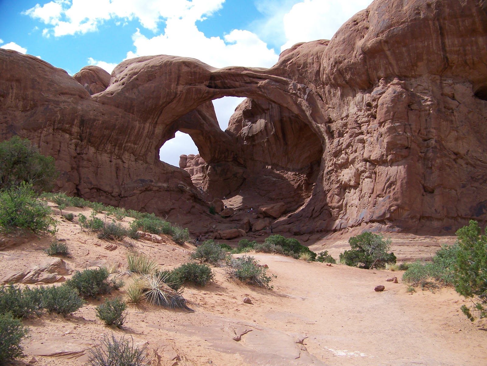 To Behold the Beauty: 3/1/11 - 4/1/11