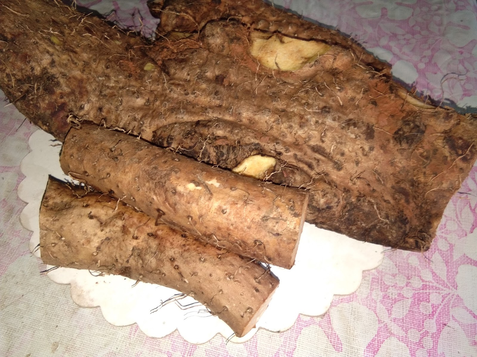 Patience and Sacrifice is Life: Not Well-Known Food: Kamangeg