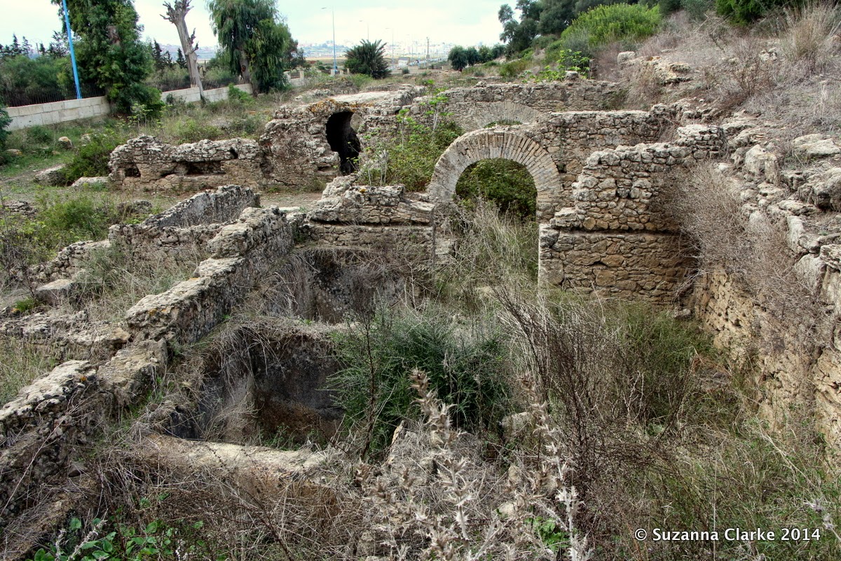THE VIEW FROM FEZ: Lixus - Ancient Site to Open to the Public