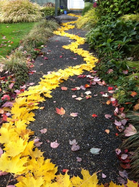 Outdoor clutter. Before and after. | Life Unstuffed