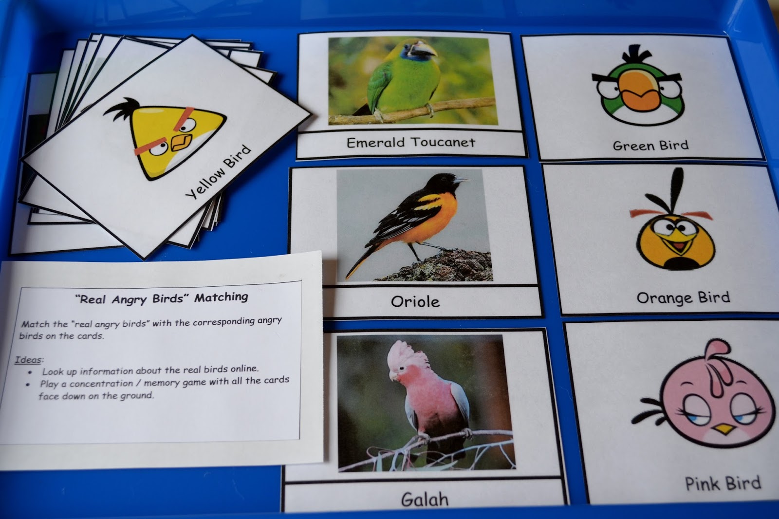 Unschool the Teacher: Angry Birds Birthday Box!