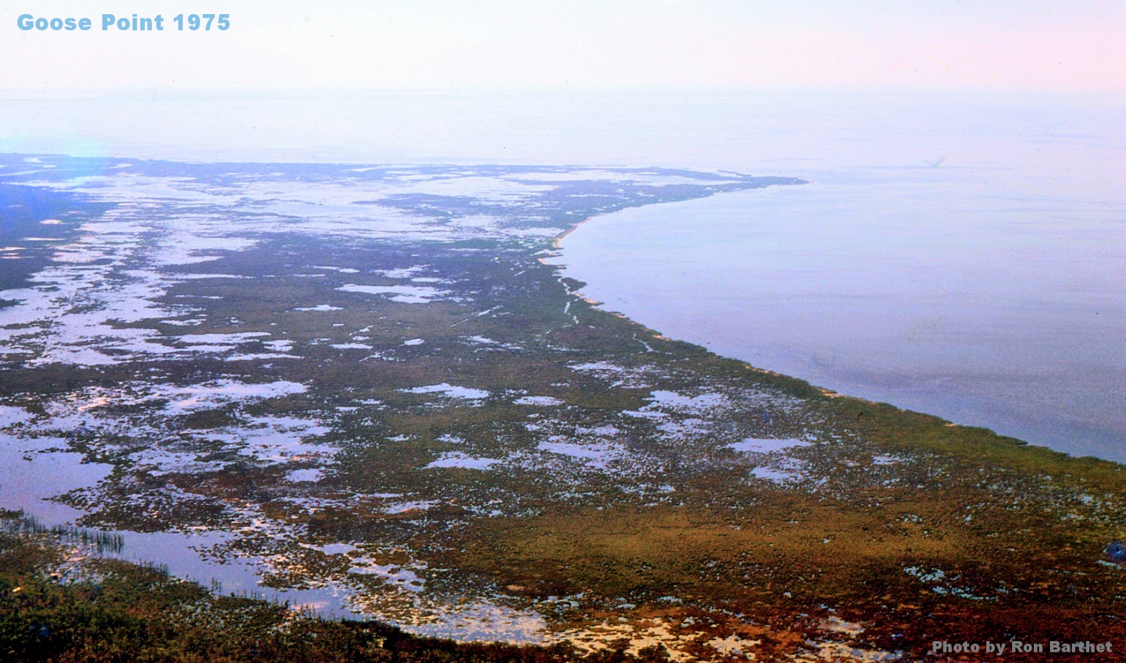 Tammany Family: Goose Point, Looking Towards Causeway 1975