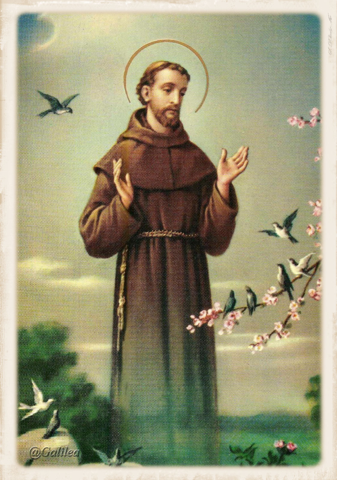 Testimonios para Crecer: San Francisco de Asís, 4 de Octubre