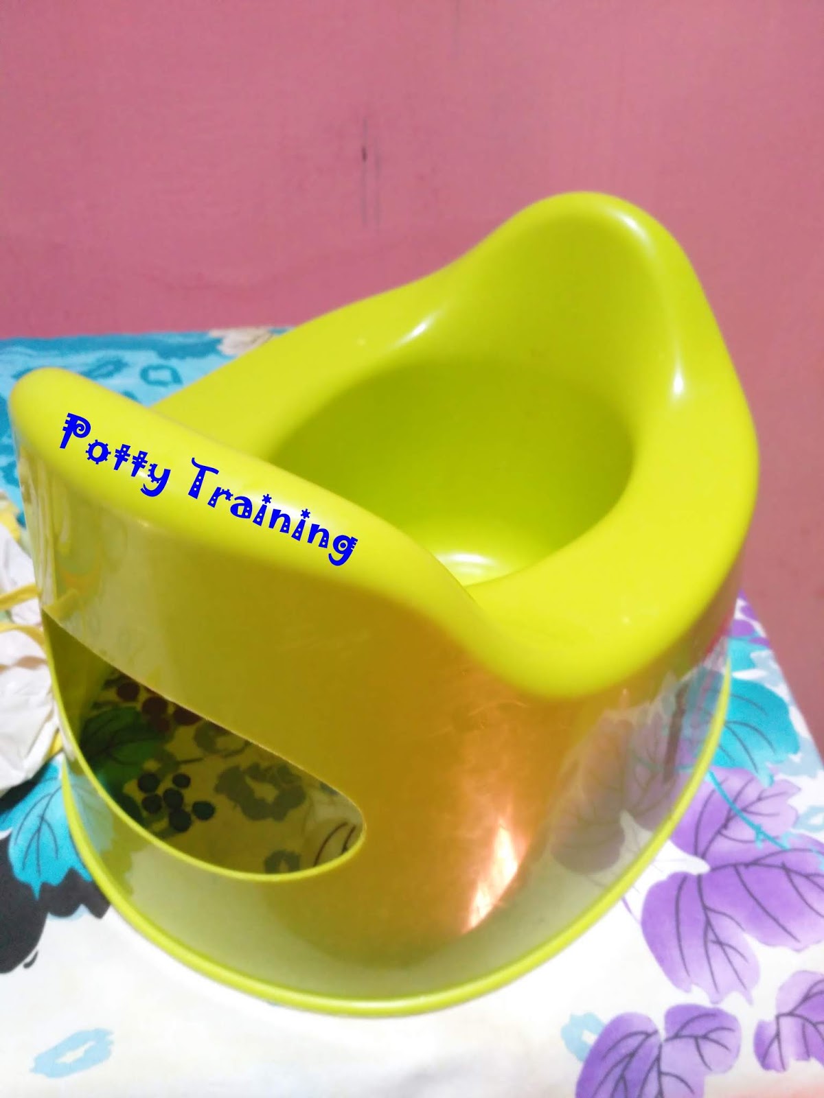 the chronicles of an extraordinary woman