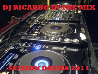 DJ RICARDO IN THE MIX