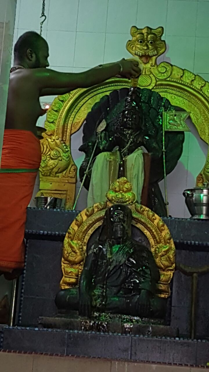 Siddha Heartbeat: AGATHIAR VIZHA PART 1