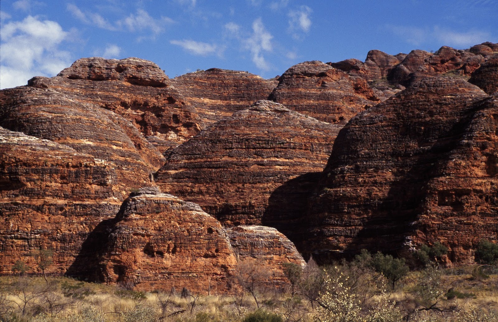 Travel Ideas & Tips: Did you Know Facts about the Bungle Bungles