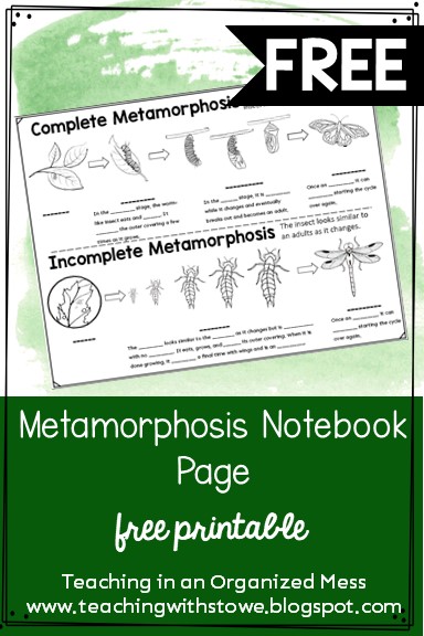 Teaching in an Organized Mess: Free Resources