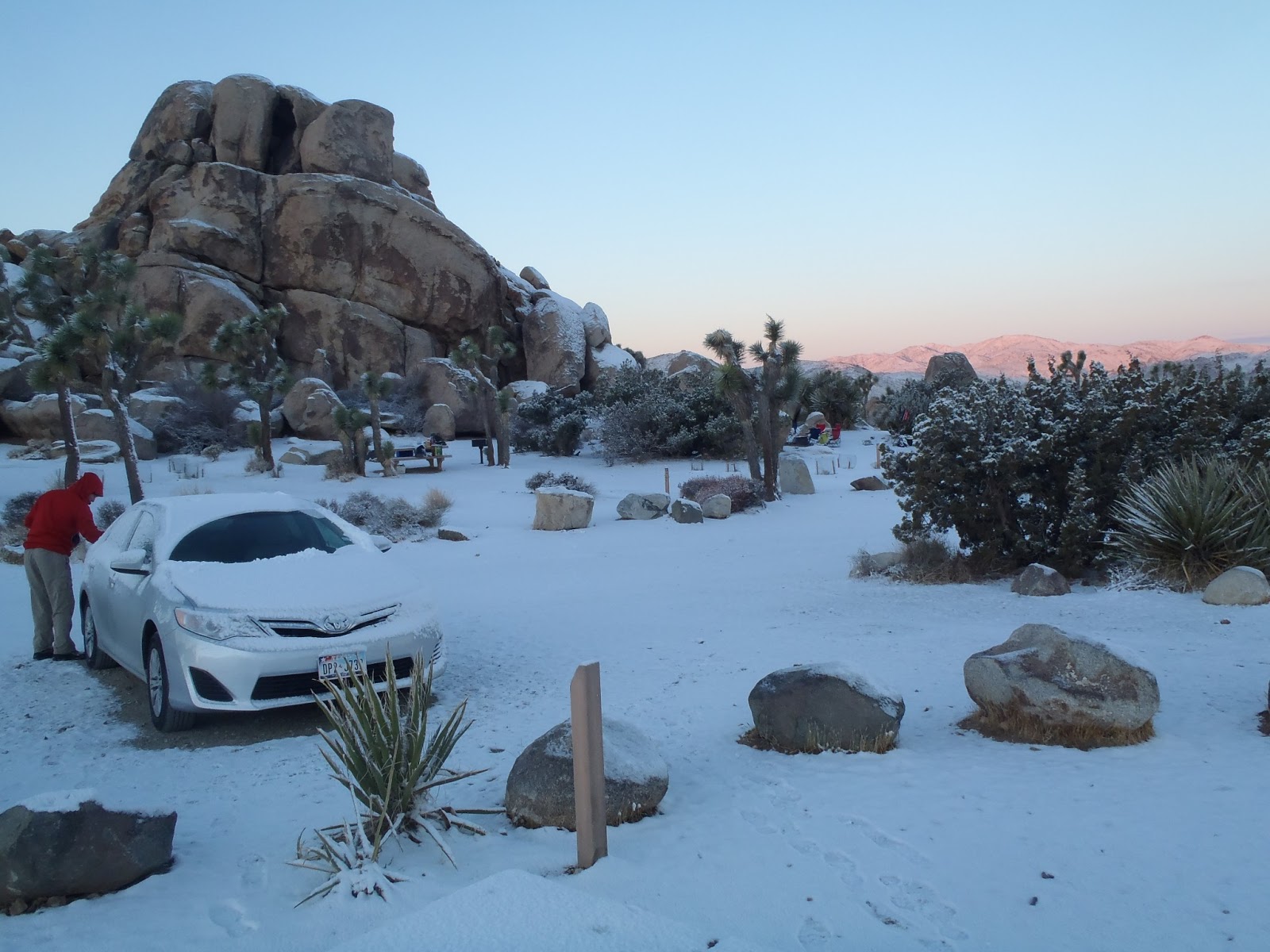 Joshua Tree National Park - Things to Do | Trails of Arkansas (& now ...