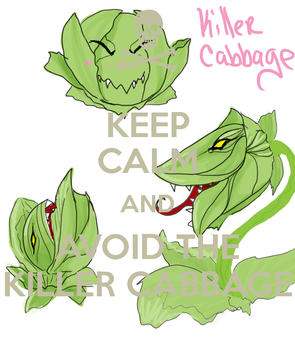 Reach for the Stars!: Dedicated to Rachel