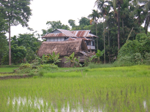 Thakurganj - A Suburb (Tehsil) of Kishanganj - किशनगंज - Welcome to ...