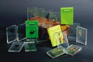 Pembuatan Plastik Biodegradable Dari Pati Sagu - Delinewstv