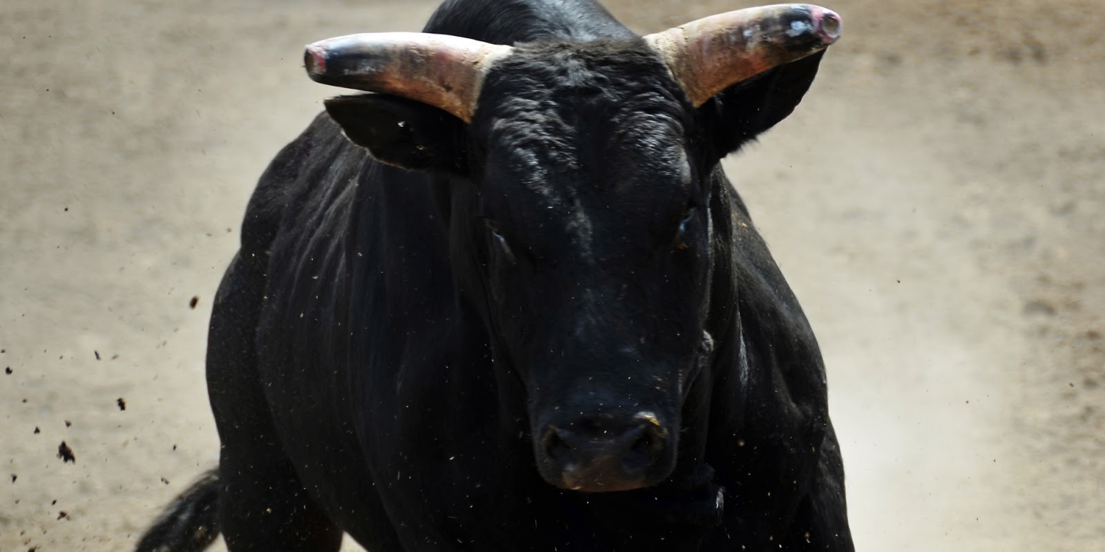 Minnesota Family History Research: 8/30/15 - 9/6/15