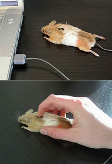 Funny Image Collection: Funny Computer Mouse pictures Collection!