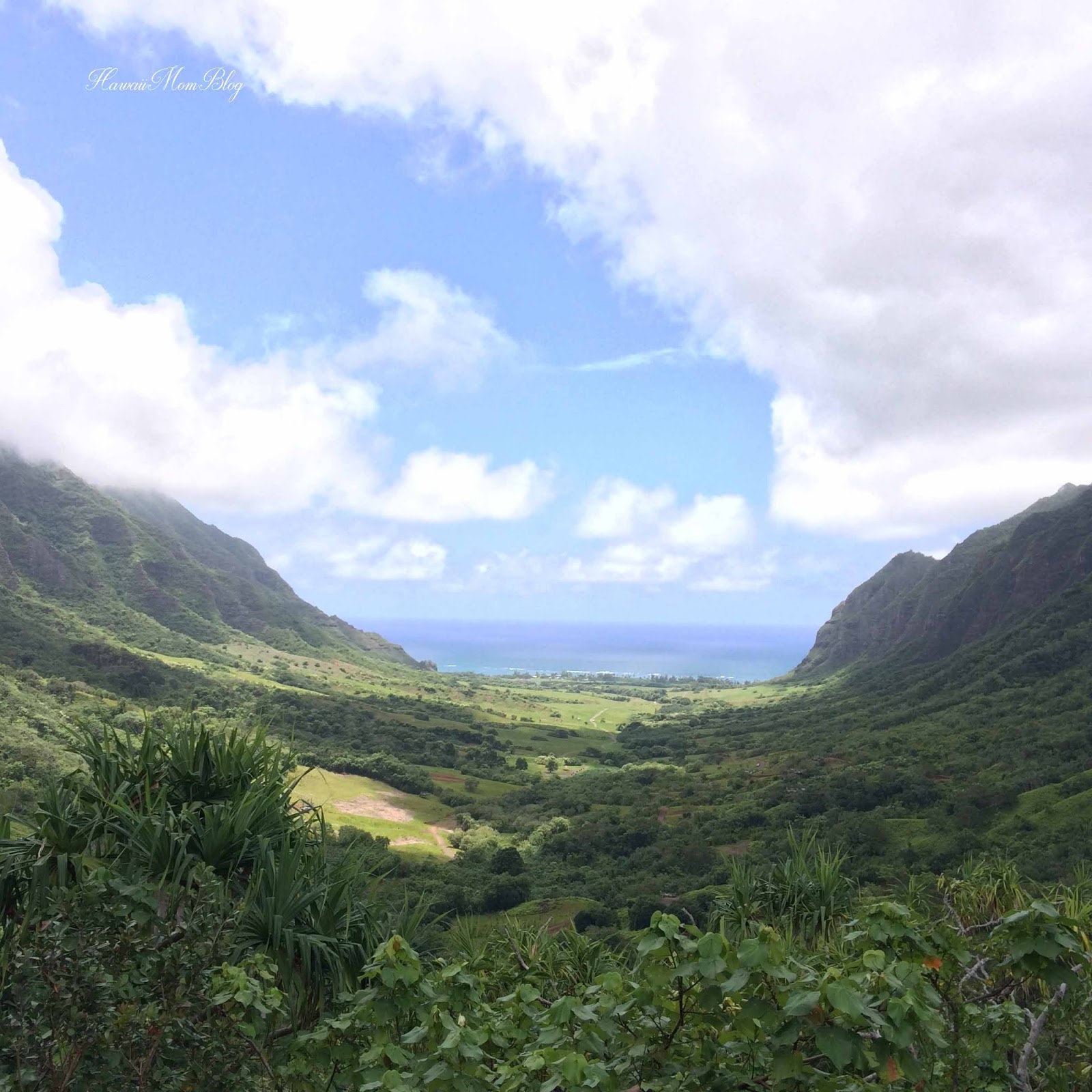 Hawaii Mom Blog: Kualoa - Jungle Expedition Tour