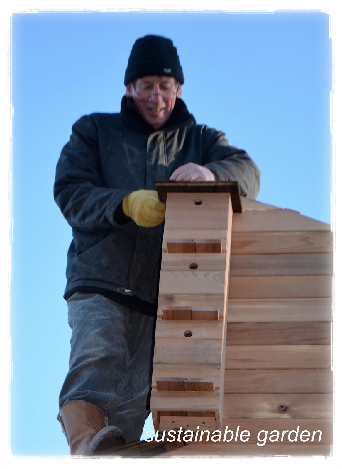 sustainable garden: house sparrow colony box