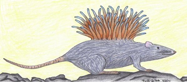 Criaturas Mágicas: Criaturas Mágicas