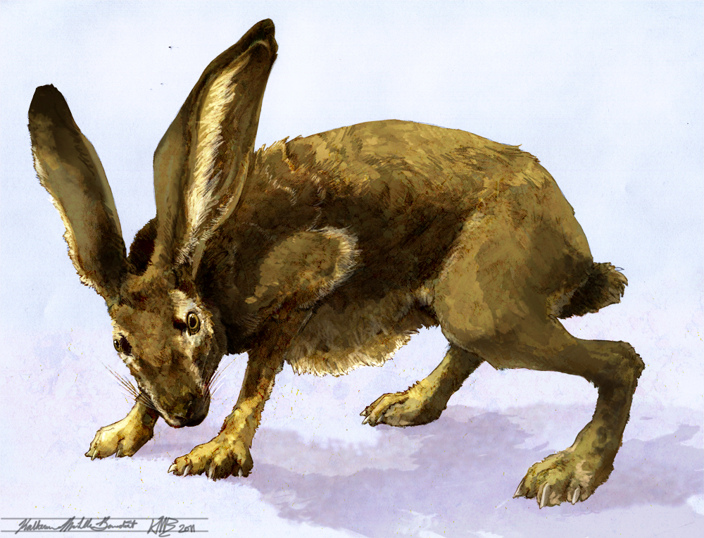 Moiling: I was hunting wabbits