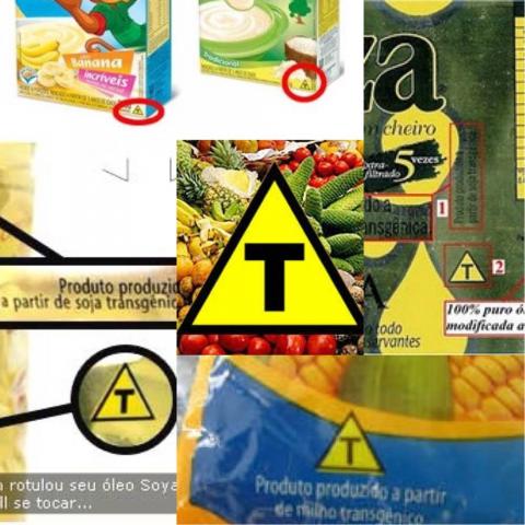 VIVER MELHOR SEM LACTOSE: ALIMENTOS TRANSGÊNICOS