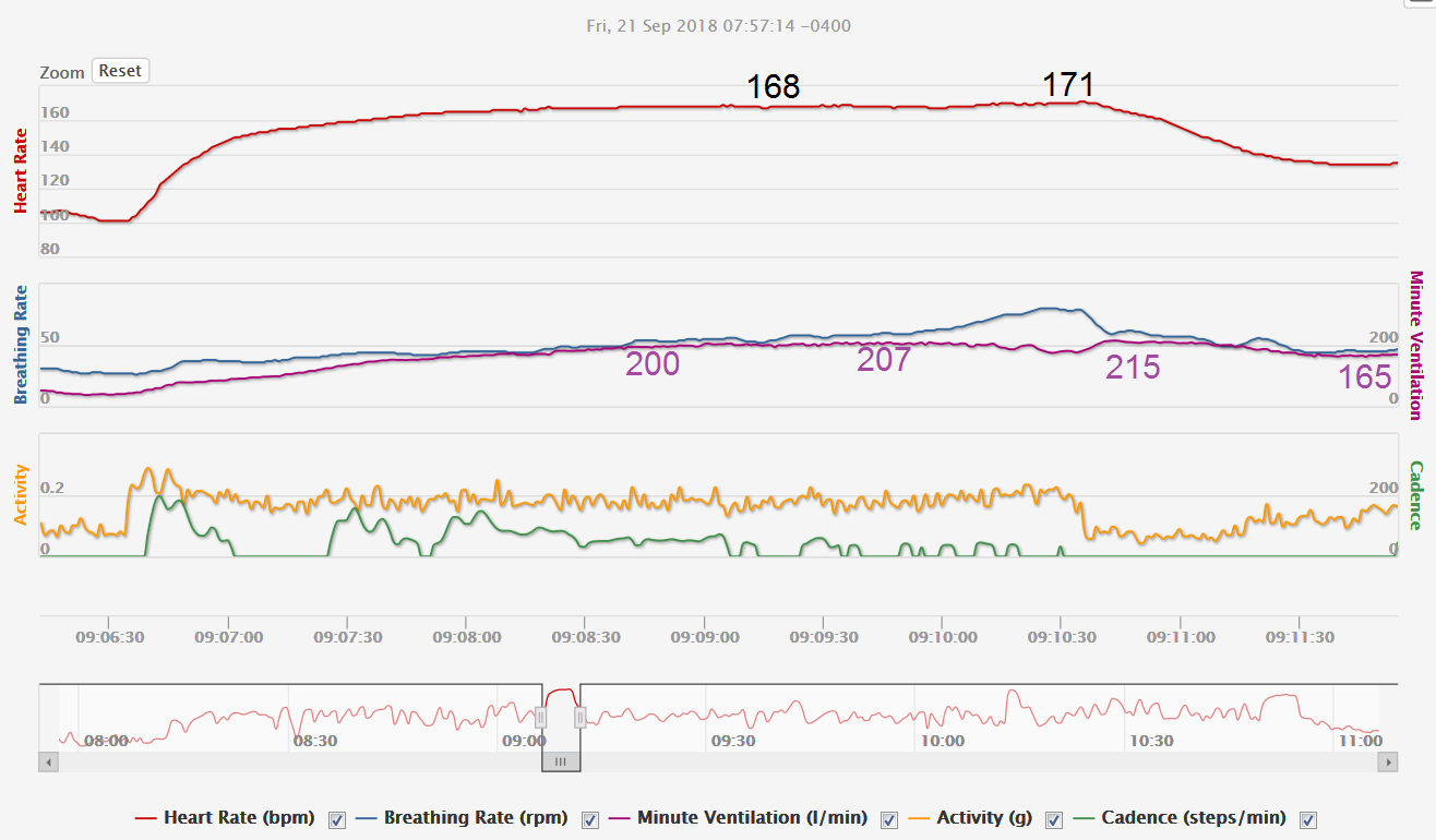 Muscle Oxygen Training: VO2 max/peak estimation